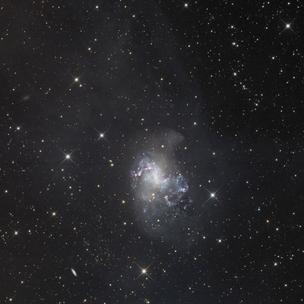 NGC 1313 | Telescope Live